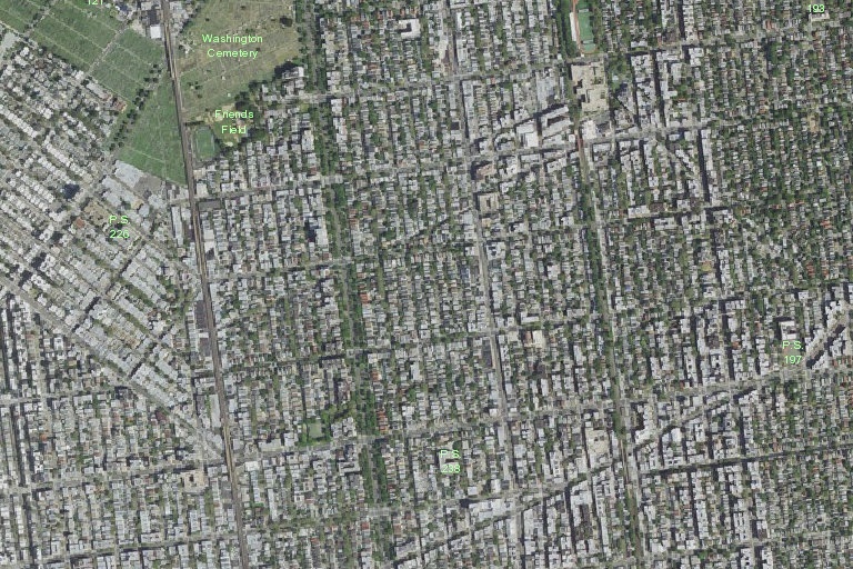 Debris and dead animal on roadway near Brooklyn Tower, Brooklyn NY ...