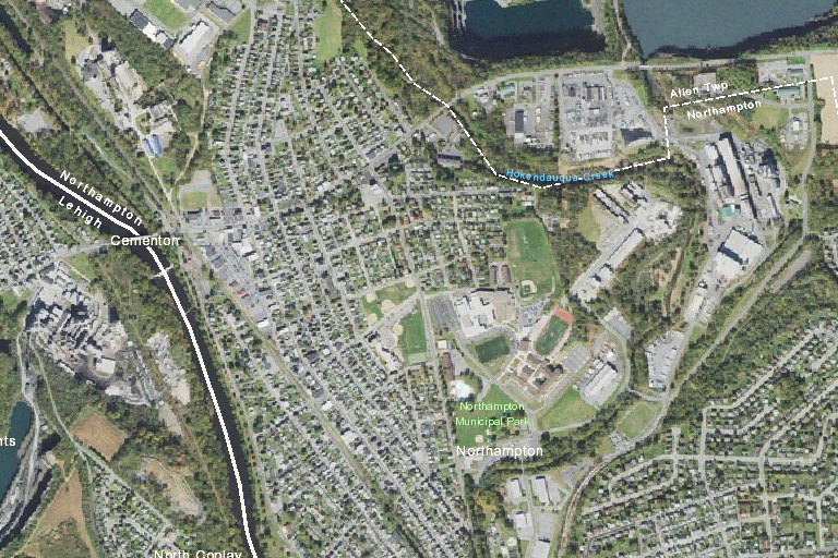 Dead raccoon found behind restaurant amid rabies concerns, Northampton ...