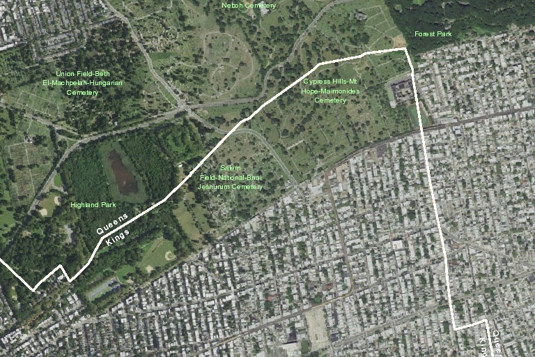 Confirmed shooting reported near Euclid Avenue in Brooklyn, Brooklyn NY ...