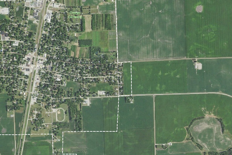 Reports of white and brown dogs or wolves near Cherry St, Onarga IL ...