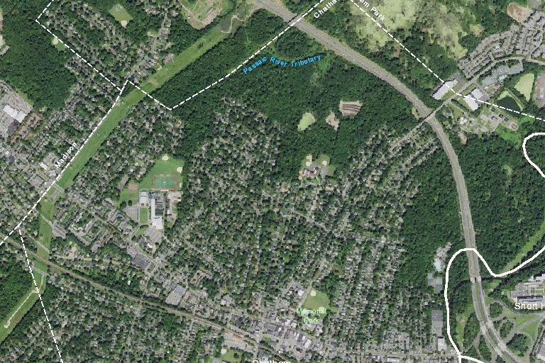 Medical emergency reported near hillsides avenue in chatham, Chatham NJ ...