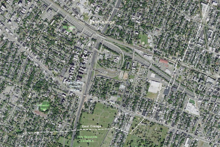 Deceased raccoon removed from roadway causing obstruction, Newark NJ ...