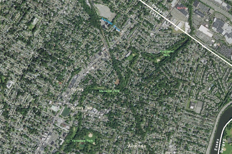 Medical call for female heart patient with leg swelling, Nutley NJ ...