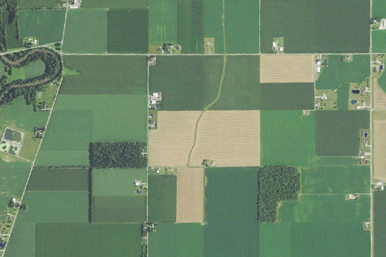 Farmer causes emus to escape by using backhoe, Putnam County OH ...