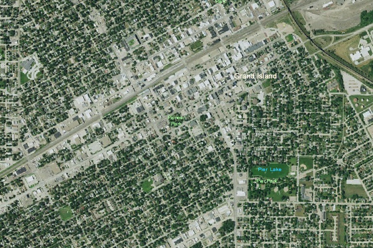 Small dog found sick and freezing outside near charles and clark, Grand ...