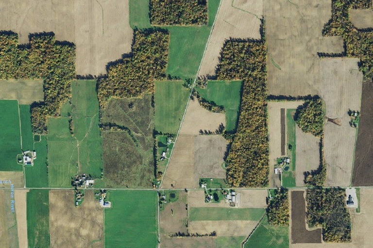 Seven-year-old girl reported with severe discoloration, Shiloh OH ...