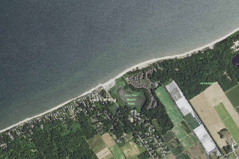 Large fallen tree blocks road in suffolk county, Suffolk County NY ...