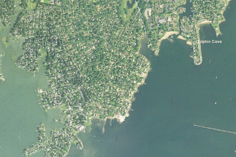 Tree branches cause power outage on Meadowbank Rd, Greenwich CT ...