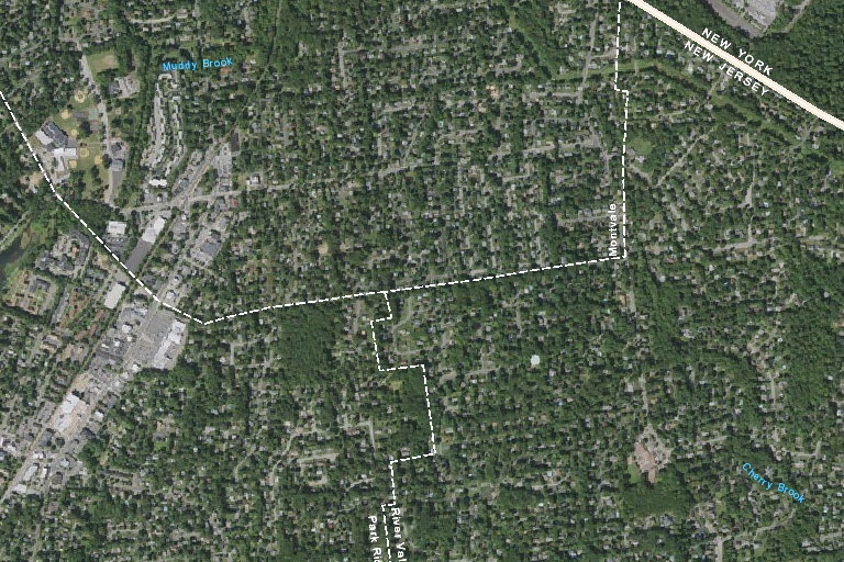 Tree damages roof near Fairview Ave in Park Ridge, Park Ridge NJ ...