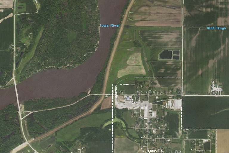 Tree crash at Oakville home cuts power, damages service mast, Oakville ...