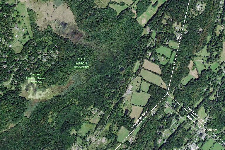 Tree and electrical wires on fire near Old Beaver Run Road, Lafayette ...