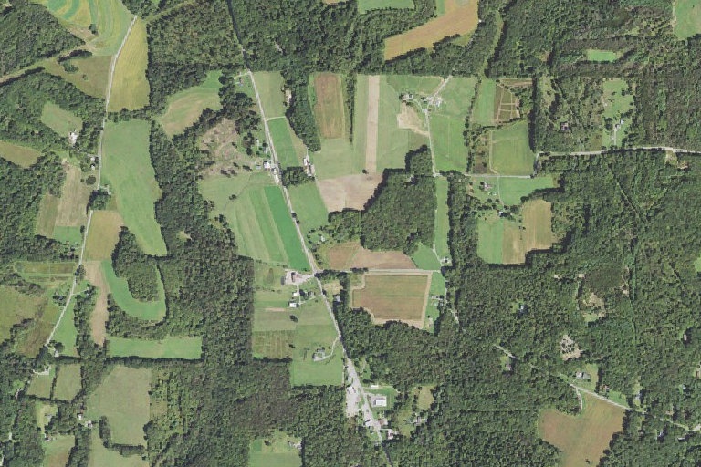 Fallen tree blocks Forest Drive near Route 66, sparks utility line ...