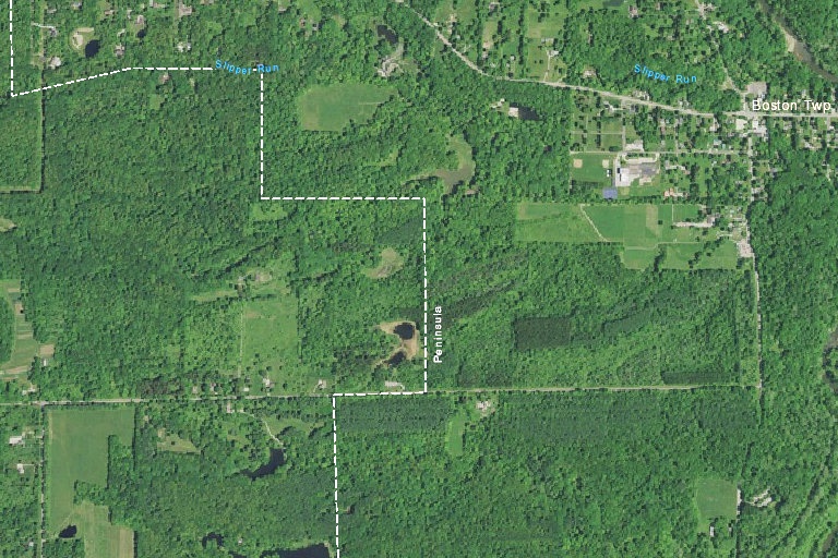 Tree blocks roadway near Horseshoe Pond causing traffic delay ...