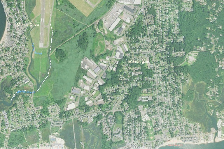 Welfare check requested for missing woman at Breezewood Condos, East ...