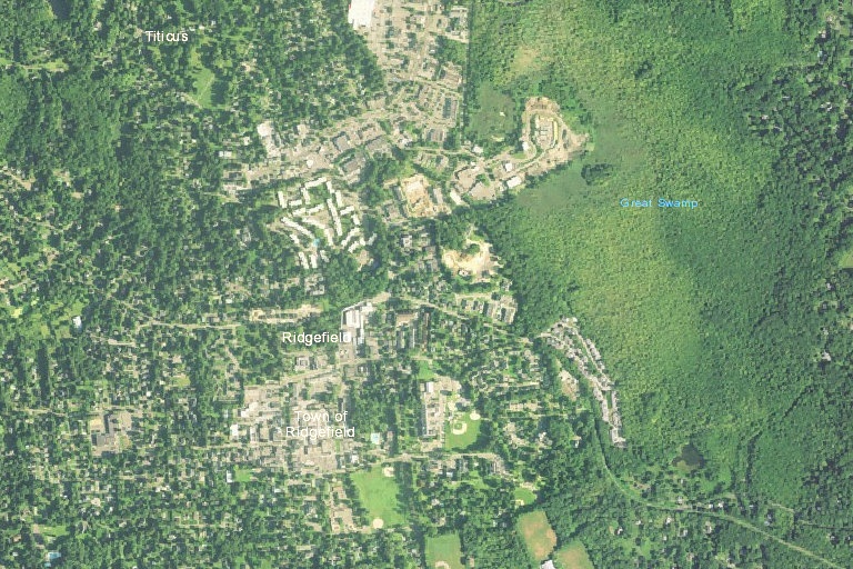 Driveway blocked by tree work prompts road closure, Ridgefield CT ...