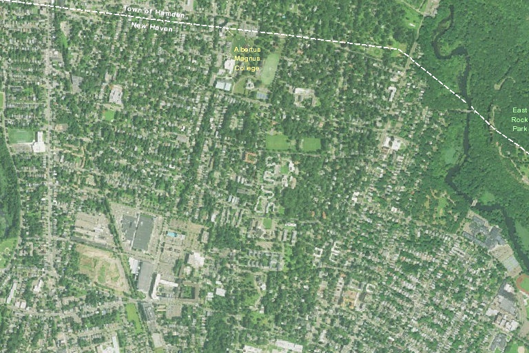 Fire crews check possible gas odor near Sheffield Ave, New Haven CT ...