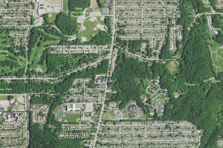 Medical call for female with bite injury near wood thrush drive ...