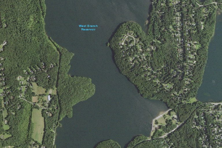 Two elderly patients reported with kidney infection and pain, Carmel ...