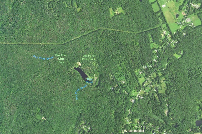 Individuals cut trees in Day Pond state park area, Colchester CT ...