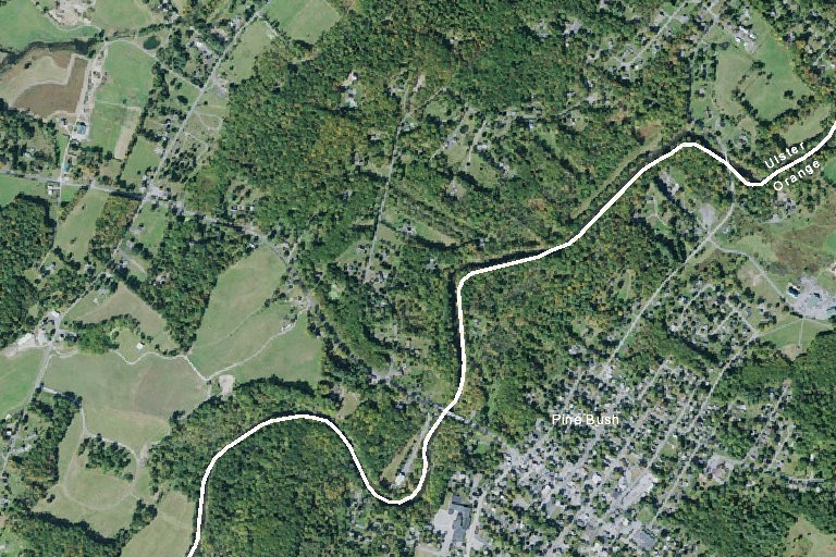 22-year-old man treated for dog bite leg injury, Pine Bush NY | CrimeRadar