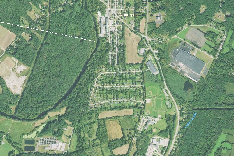 Officers Rescue Missing Puppy Trapped Near Marie St, Plainfield CT ...