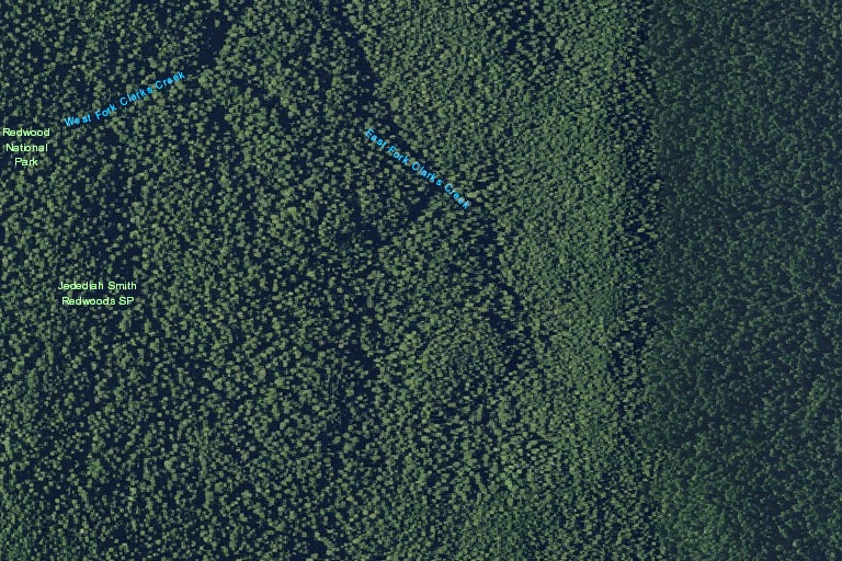 Traffic blocked by fallen tree near Jedediah Smith park, Crescent City ...