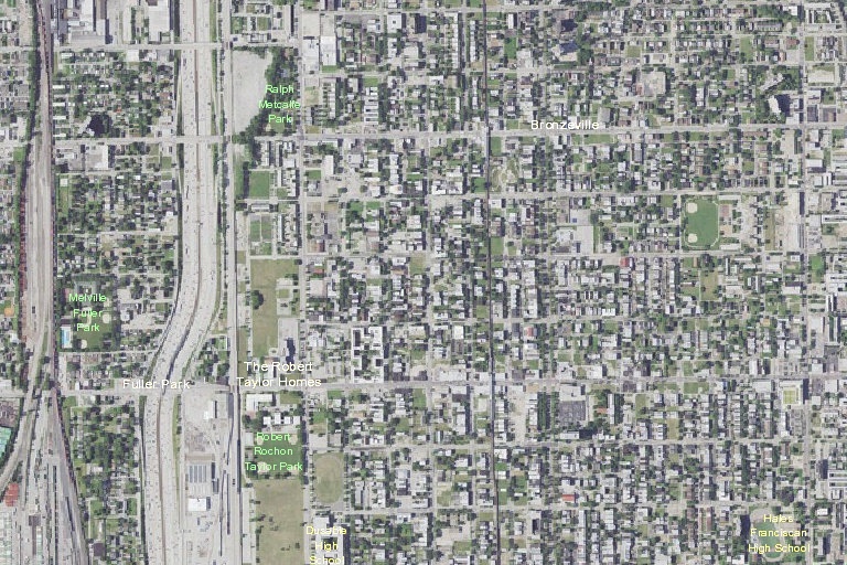 Two pit bulls attack leashed dog near East 46th Street, Chicago IL ...