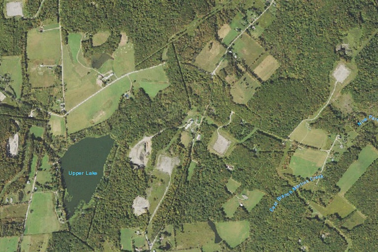 Tree down blocks roadway near Tingley Lake Rd and Upper Lake Rd ...