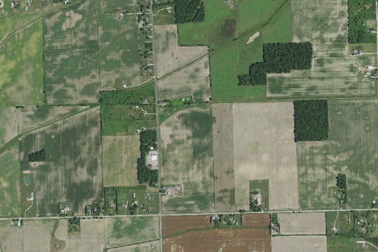 Vehicle collides with deer near Lewis Avenue and Rauch road, Monroe ...