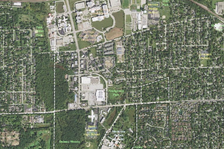 Found golden retriever held near St. Francis High School, Wheaton IL ...