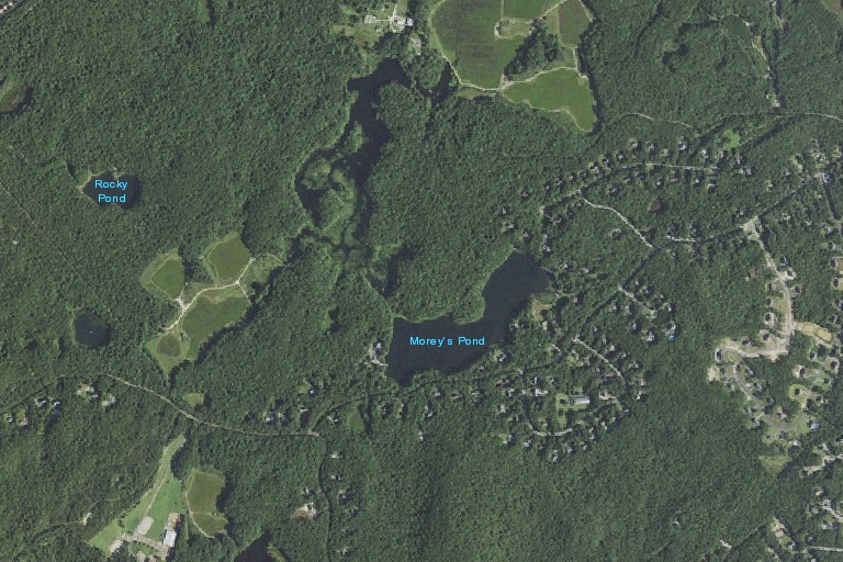 Cracked telephone pole reported near Ship Pond Rd, Plymouth MA | CrimeRadar