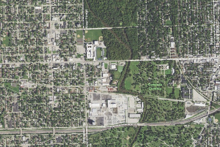Person taken into custody at Maywood Courthouse, Maywood IL | CrimeRadar