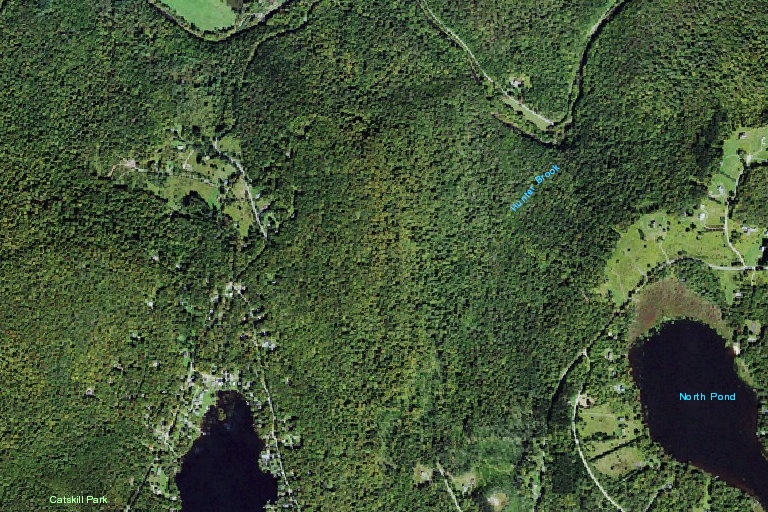 Open line from cell phone near Park Dr with no response, Parksville NY ...