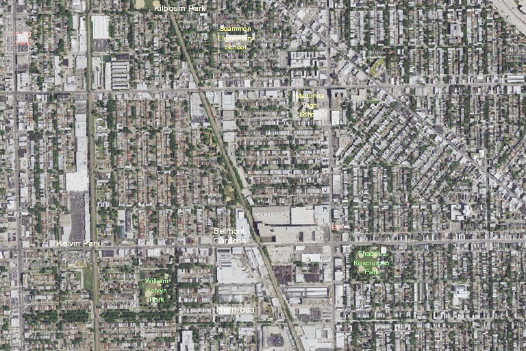 Dog found near West George St, Chicago IL | CrimeRadar