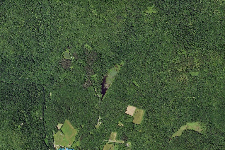 Domestic disturbance with injured person reported, Delaware County NY ...