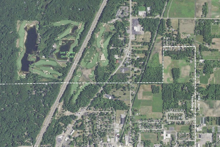 Tree crashes onto house, power lines threatened in Bridgman, Bridgman ...