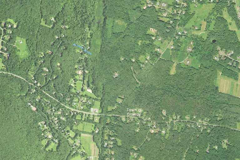 Possible sick raccoon near Simsbury Rd, Granby CT | CrimeRadar