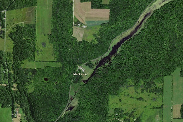 Tree blocks roadway on State Route 248, Steuben County NY | CrimeRadar