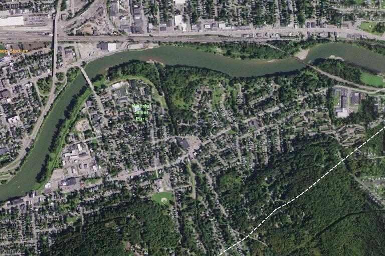 Police respond to dog attack at Binghamton home, Binghamton NY | CrimeRadar