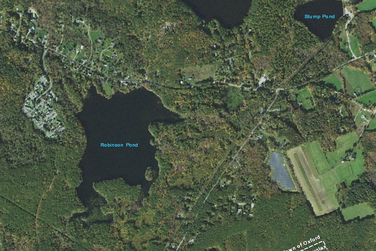 Tree blocks lane on Joe Jenny Road near Webster line, Worcester County ...