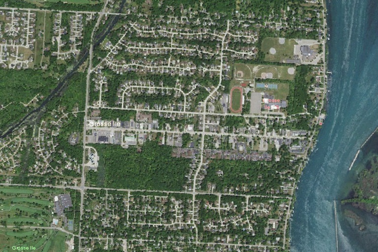 Request for animal control for sick raccoon near Bellevue Rd, Wayne ...