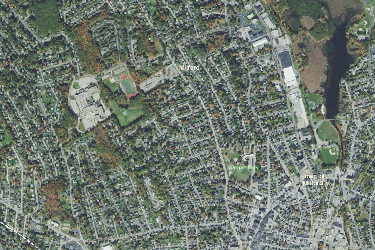 Medical emergency for elderly woman with swollen hand, Milford MA ...