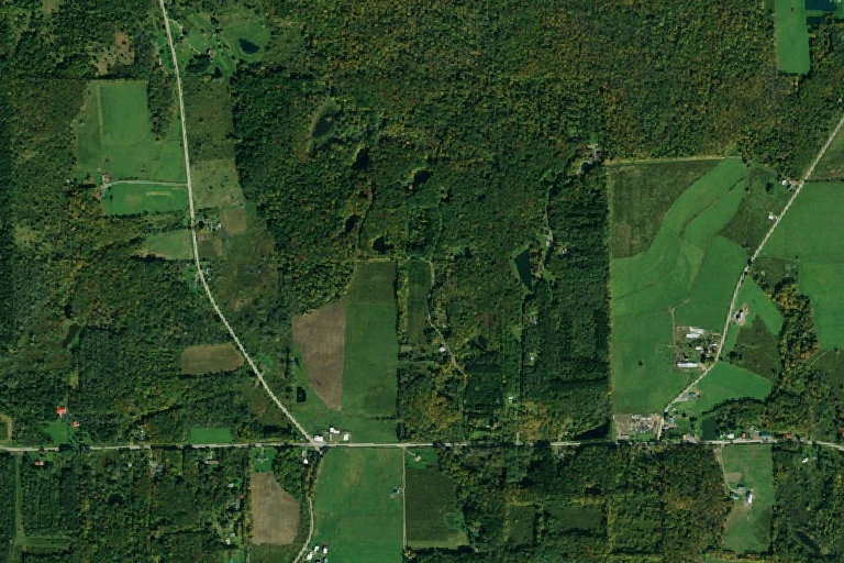 Tree hazards spark danger on Abbott and East Hill Roads, Cattaraugus ...