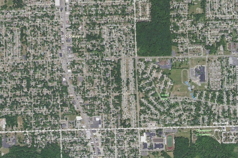 Woman steals items from tobacco store and flees on bike, Wayne County ...