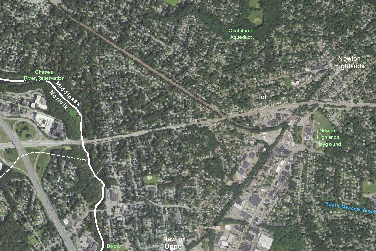 Injured rabbit found in roadway at intersection, Newton MA | CrimeRadar