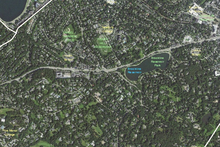 Traffic collision near Lee and Warren streets, Brookline MA | CrimeRadar