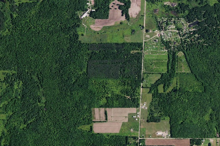 Welfare check requested for missing young adult, Angelica NY | CrimeRadar