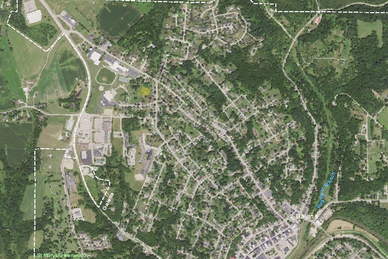 python reported at large on south main street, Galena IL | CrimeRadar