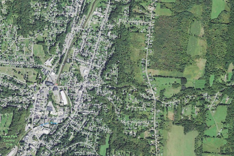 Driver reports hitting dog with truck; dog uninjured, Adams MA | CrimeRadar