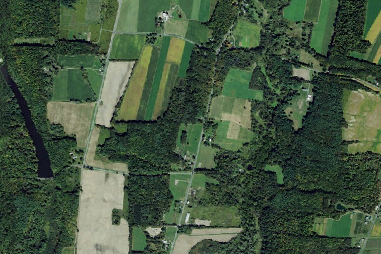 Black dog reported running loose near Belknap Hill Road, Yates County ...